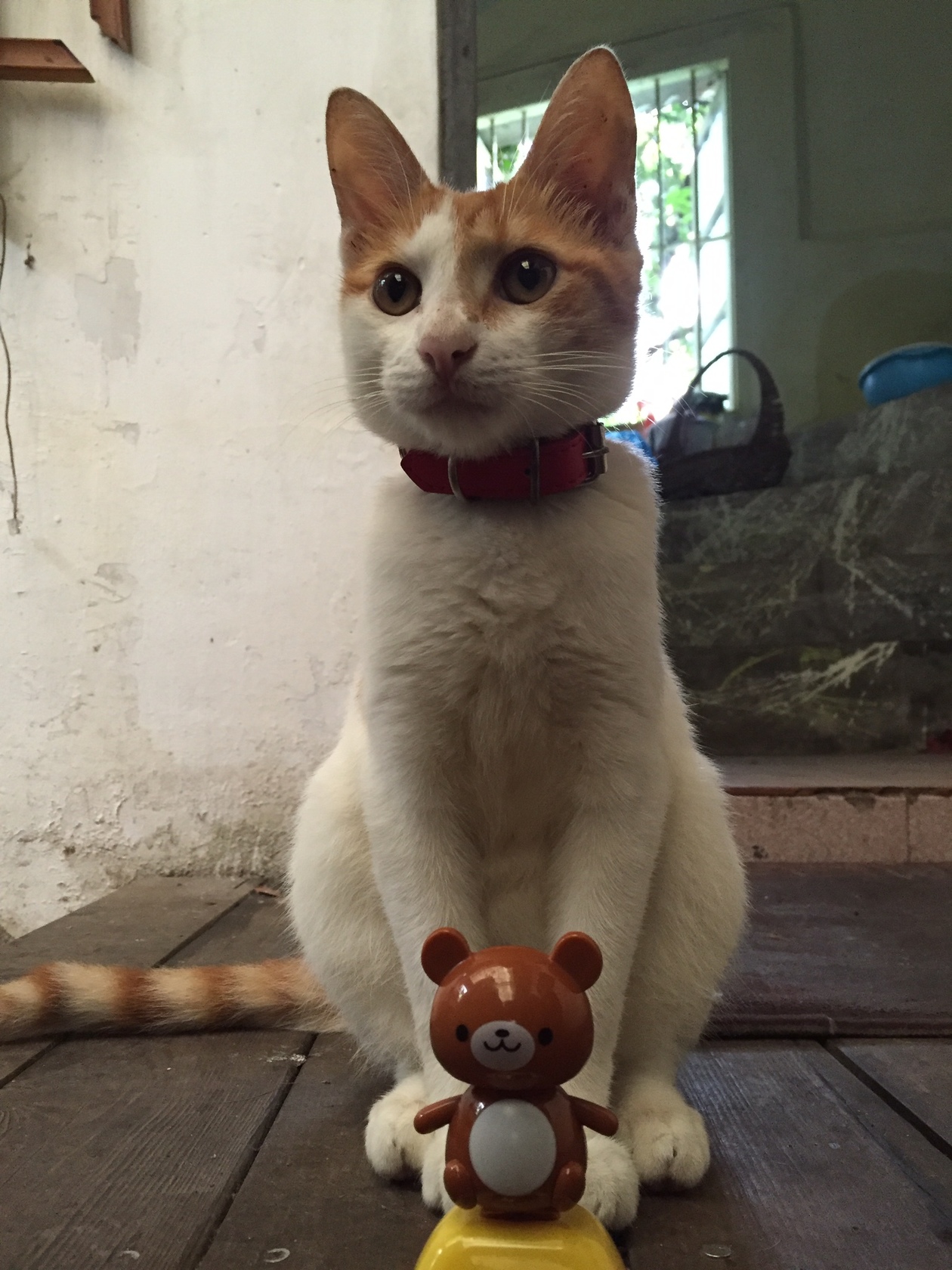 F ang linさんのサービス | ロコタビ