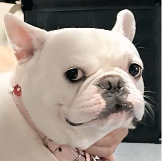 ochisanさんがタカオ(高雄)の旅のお手伝いします | ロコタビ